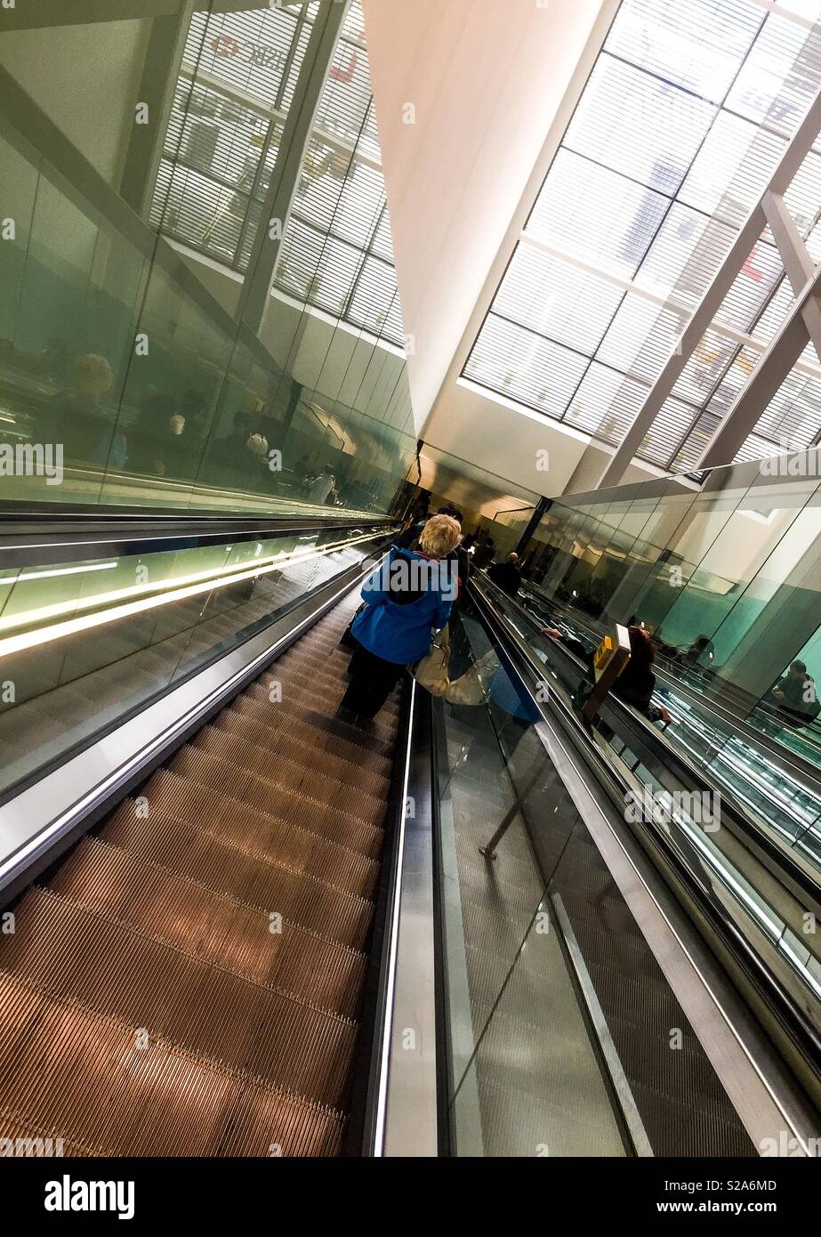 Views Looking Down Perspective