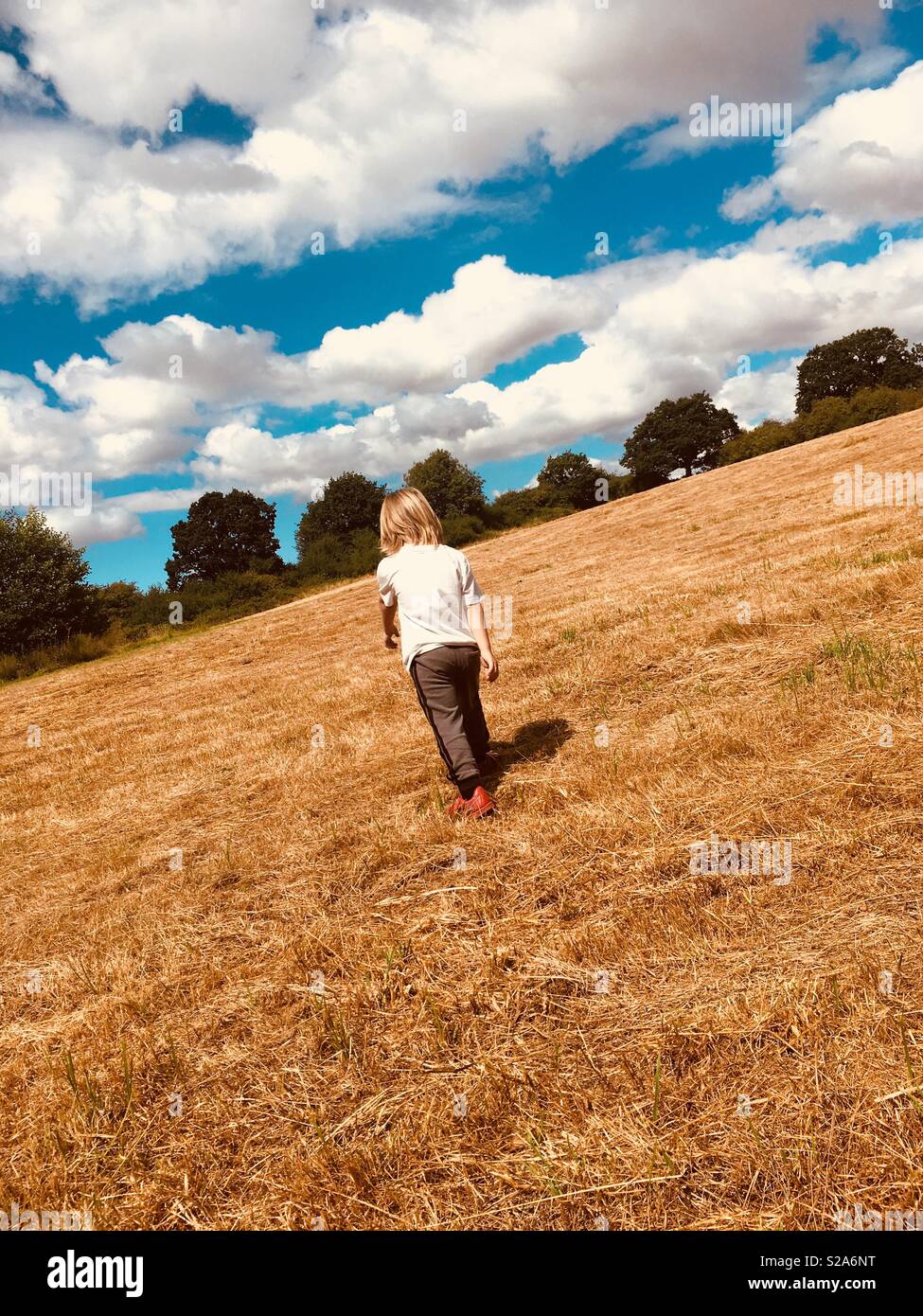 Boy walking through meadow Stock Photo - Alamy