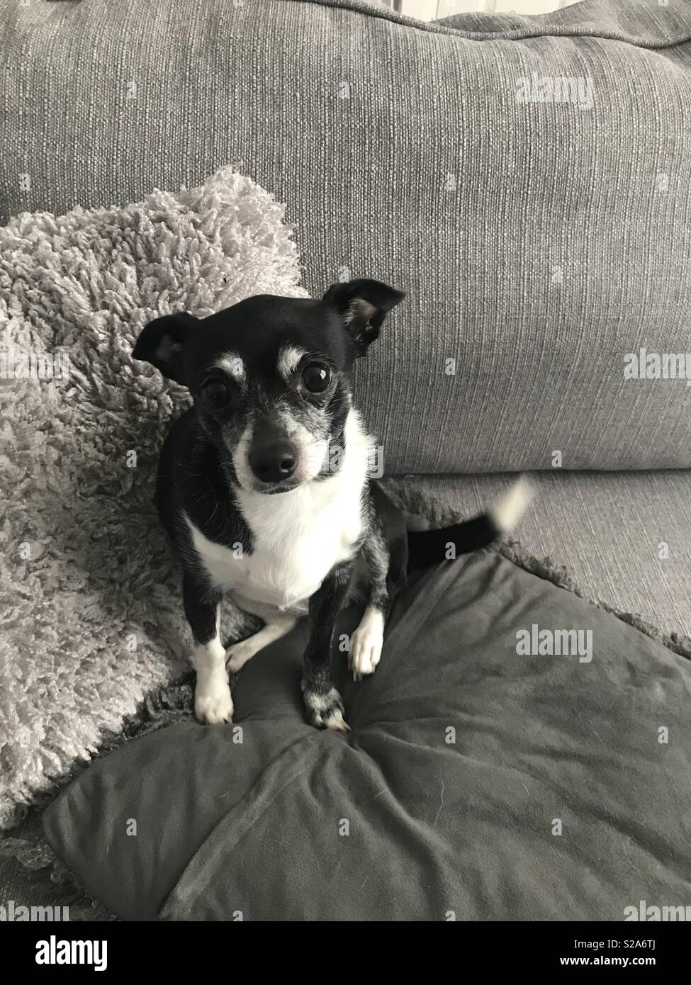 Just chill hi-res stock photography and images - Alamy