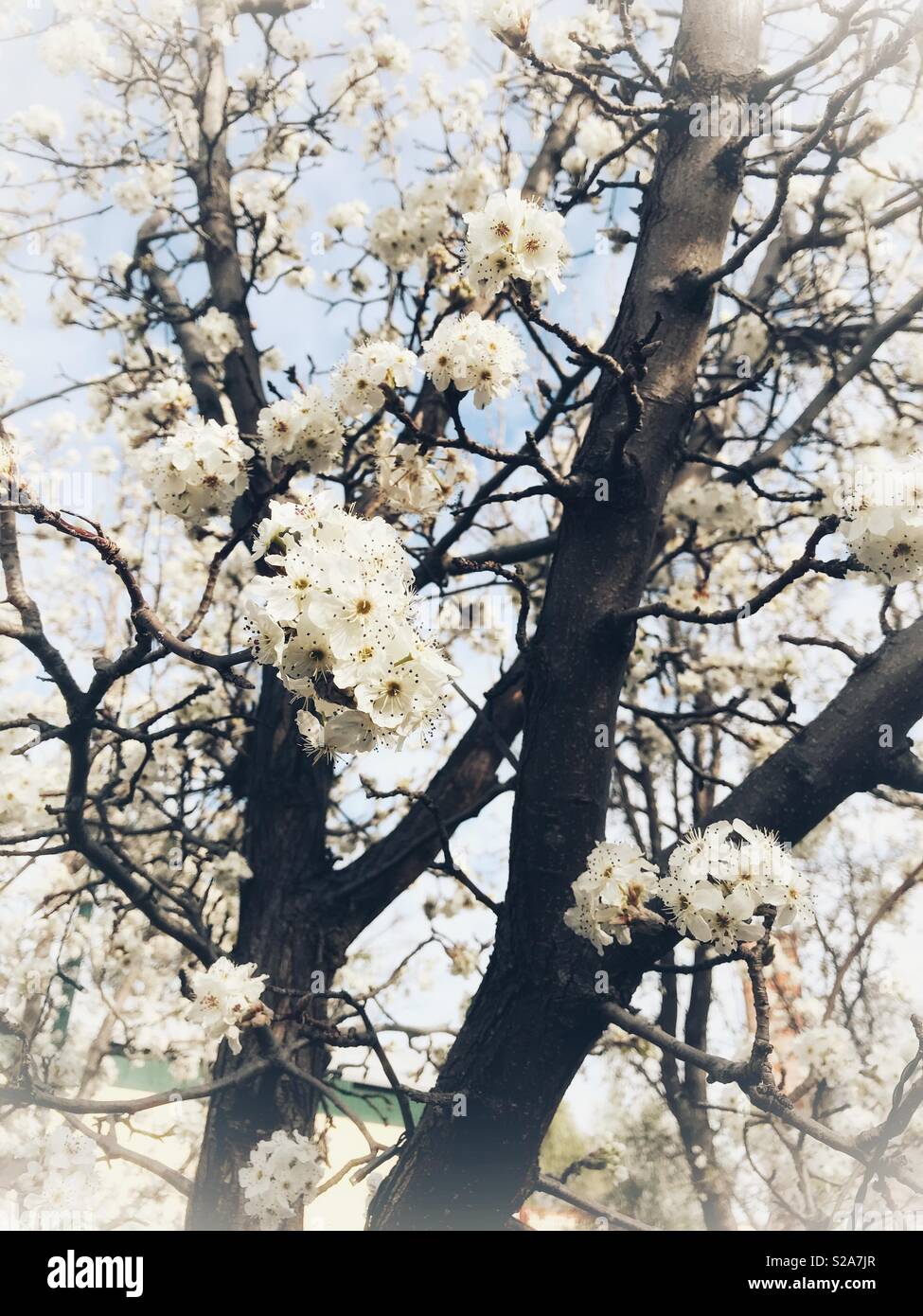 Beverley western australia hi-res stock photography and images - Alamy