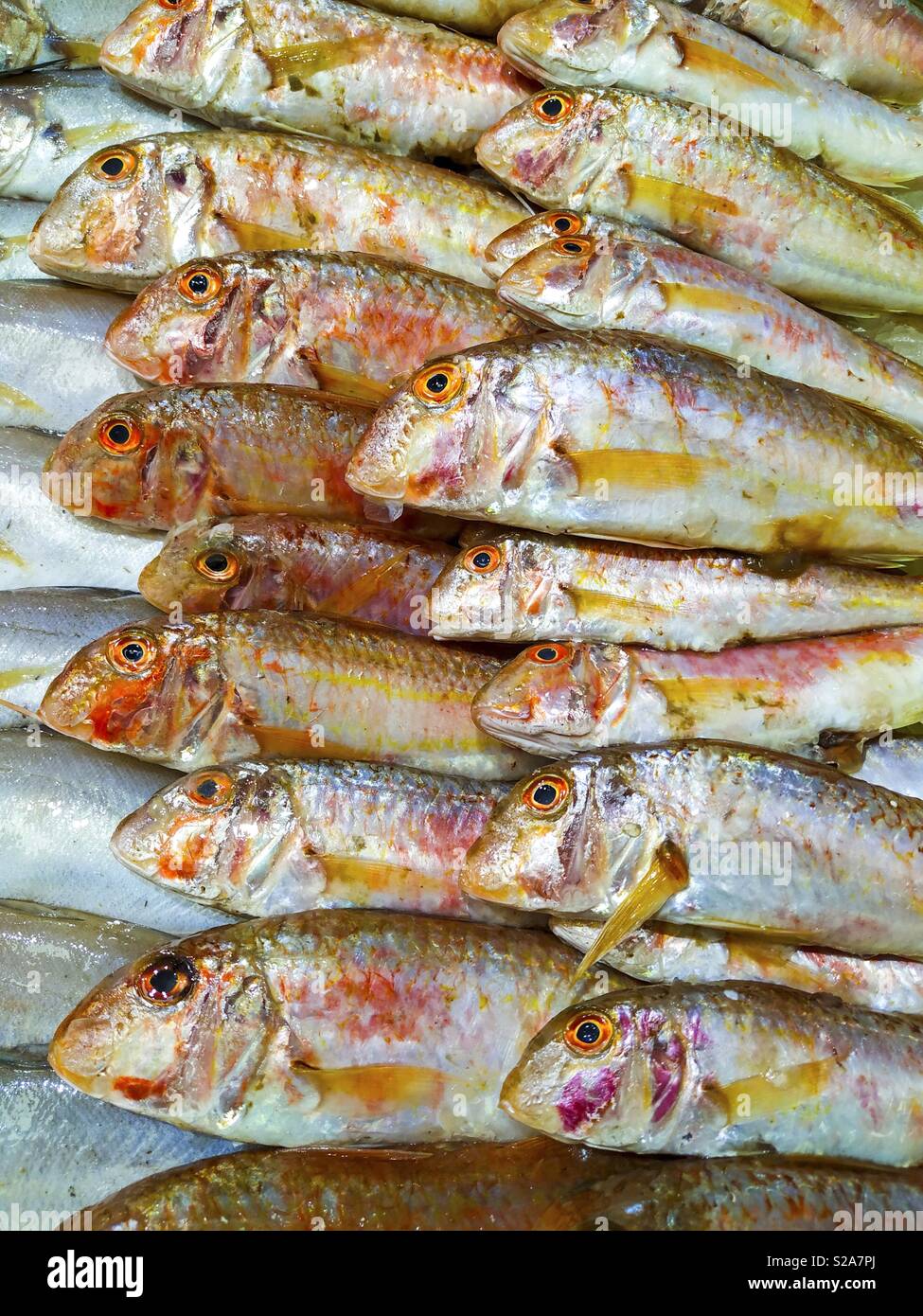 Red mullets for sale Stock Photo - Alamy