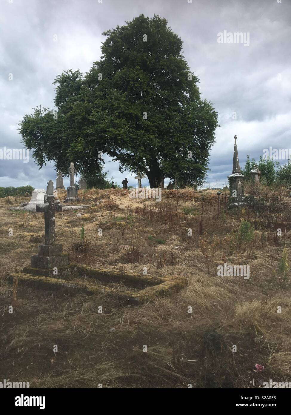 Graveyard tree hi-res stock photography and images - Alamy