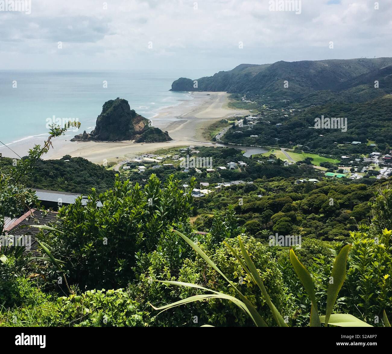New Zealand Elephant Rock Auckland North Island Stock Photo - Alamy