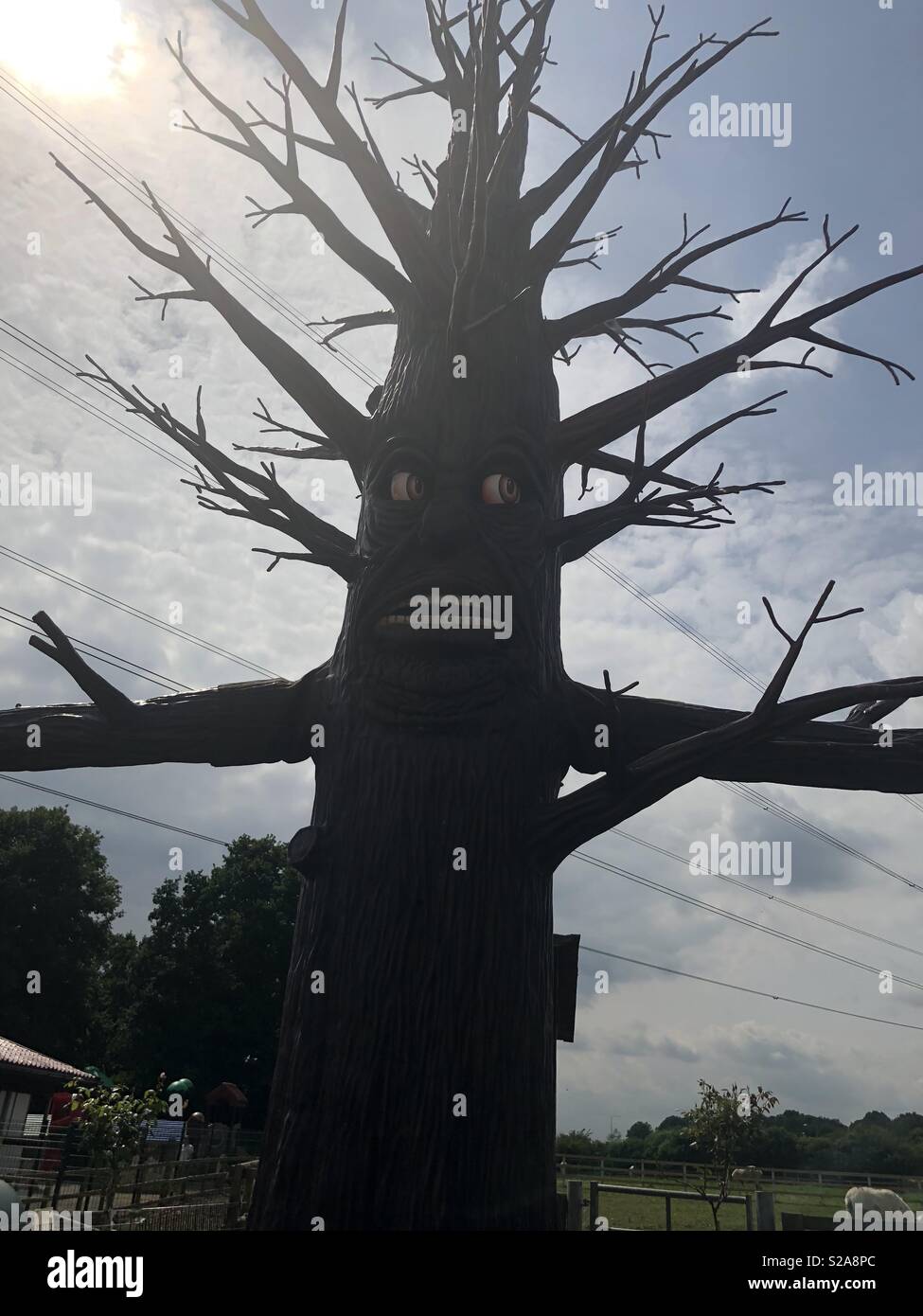 Talking tree hi-res stock photography and images - Alamy