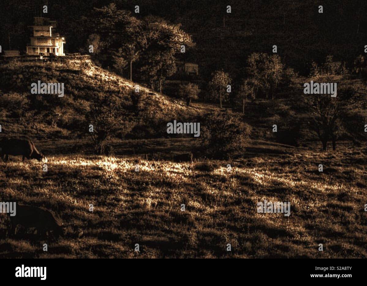A Jamaican landscape Stock Photo - Alamy