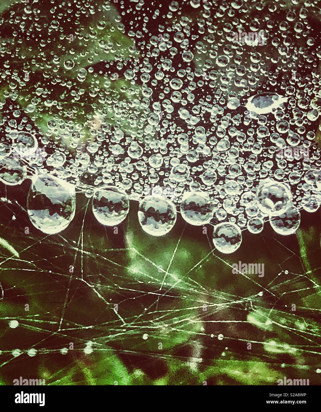 Water droplets in nature hi-res stock photography and images - Alamy