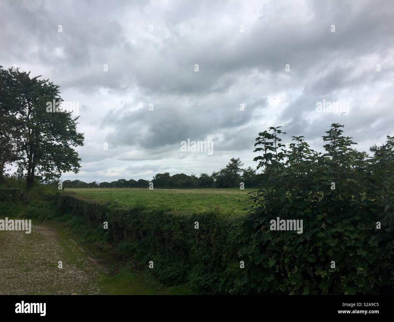 Grey overcast sky clouds view over the field Stock Photo - Alamy