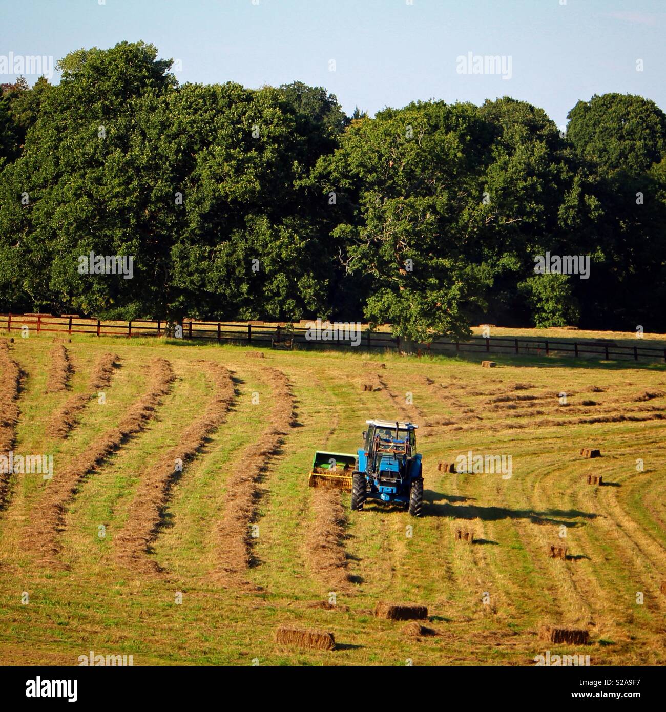 Bailing hay hi-res stock photography and images - Alamy