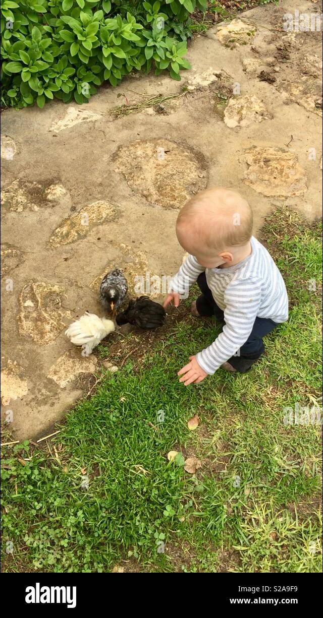 Cute baby and chicks Stock Photo - Alamy