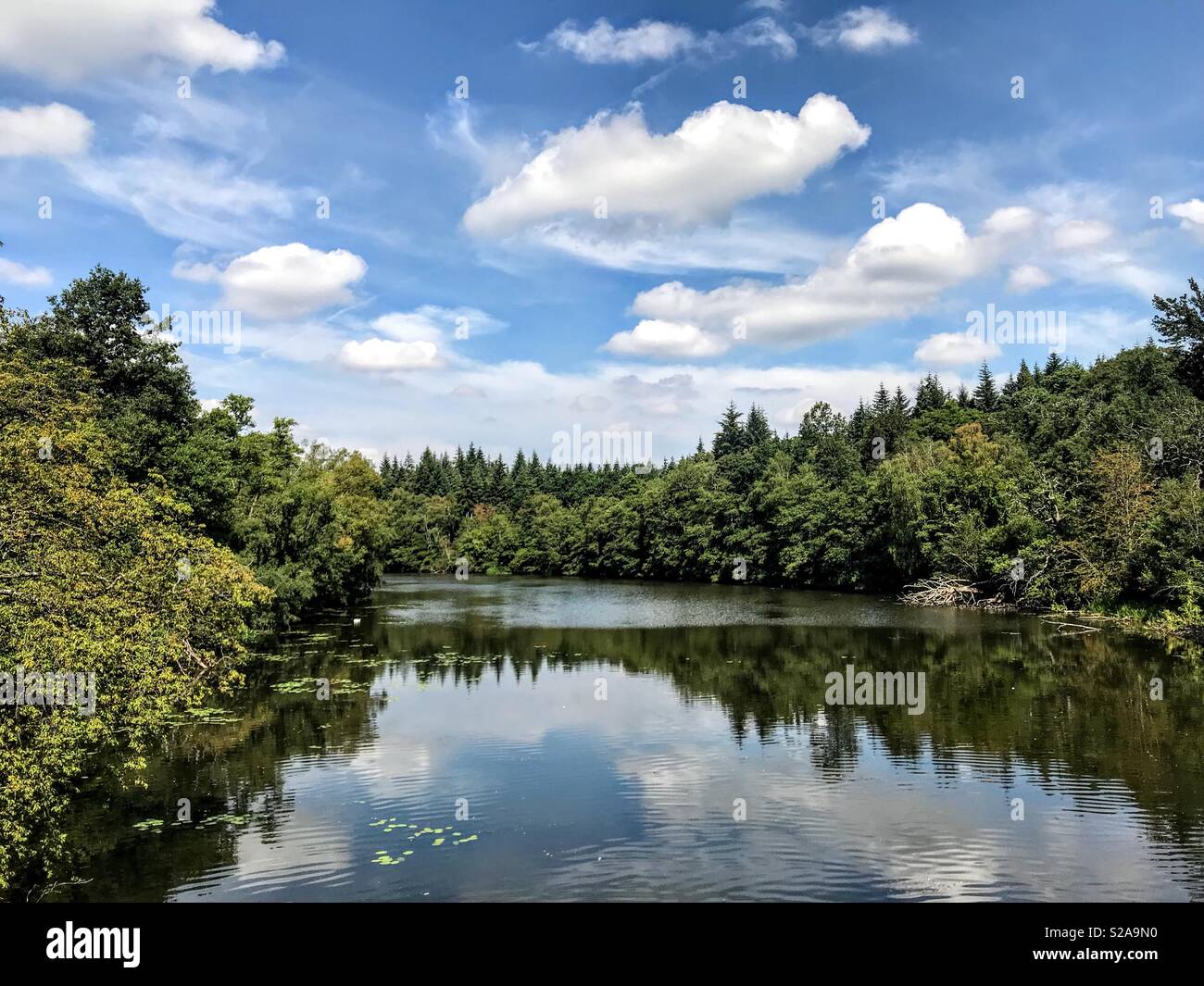 Virginia water lake hi-res stock photography and images - Alamy