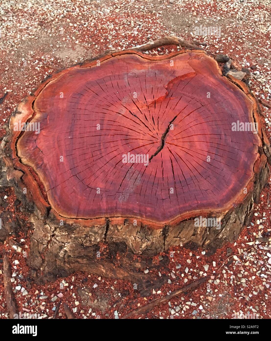 Why red hi-res stock photography and images - Alamy