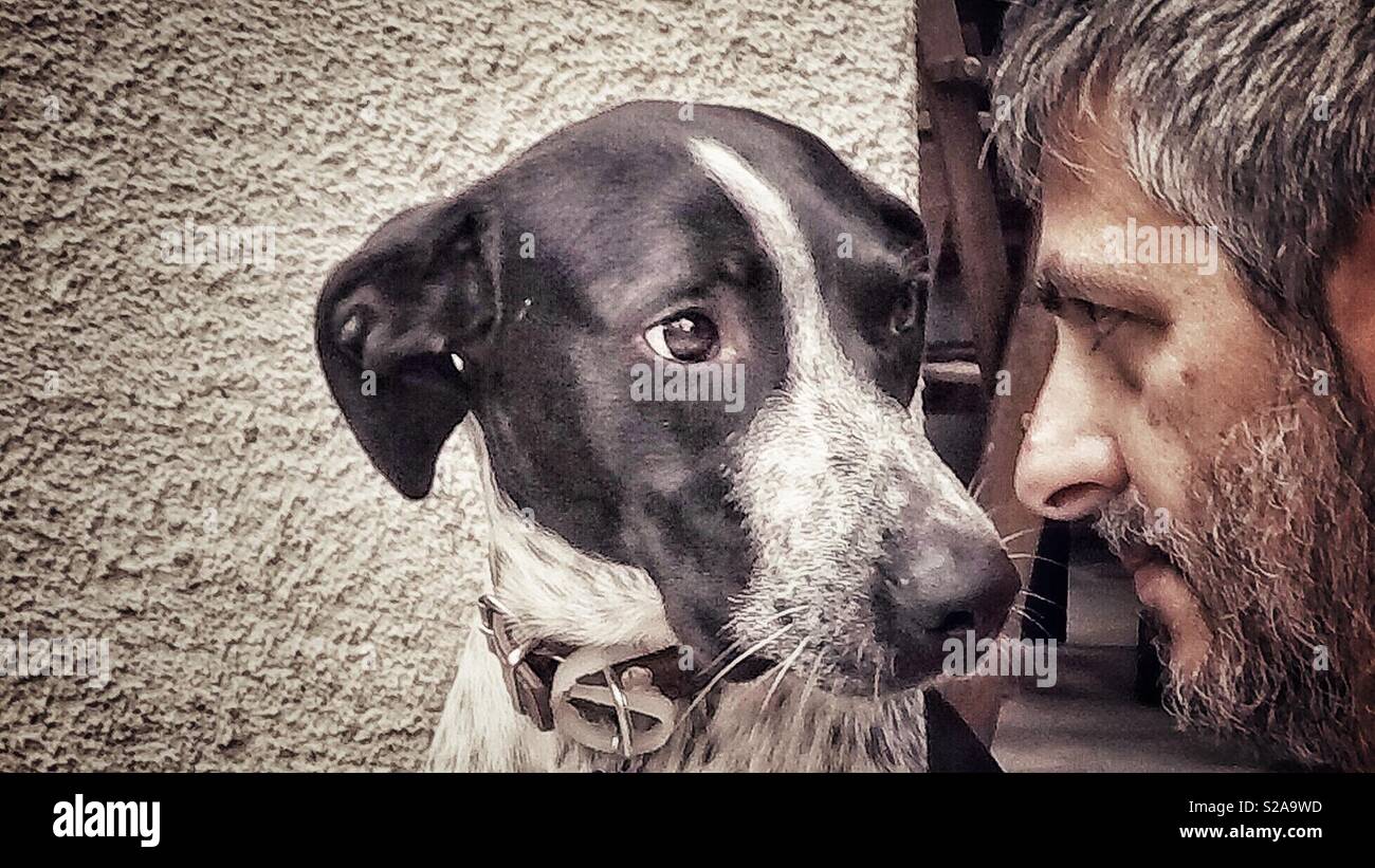 Cute look hi-res stock photography and images - Alamy