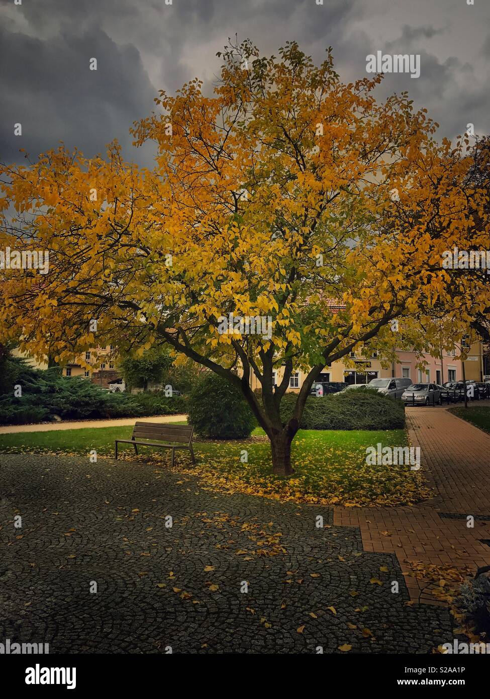 Dark and golden colors hi-res stock photography and images - Alamy