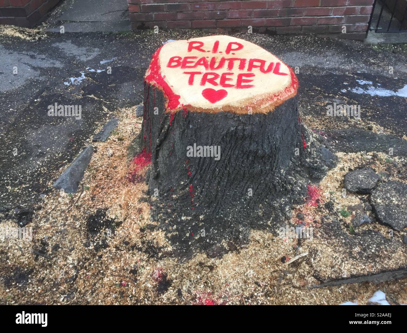 Stump of tree chopped down in Sheffield gets painted as protest Stock ...