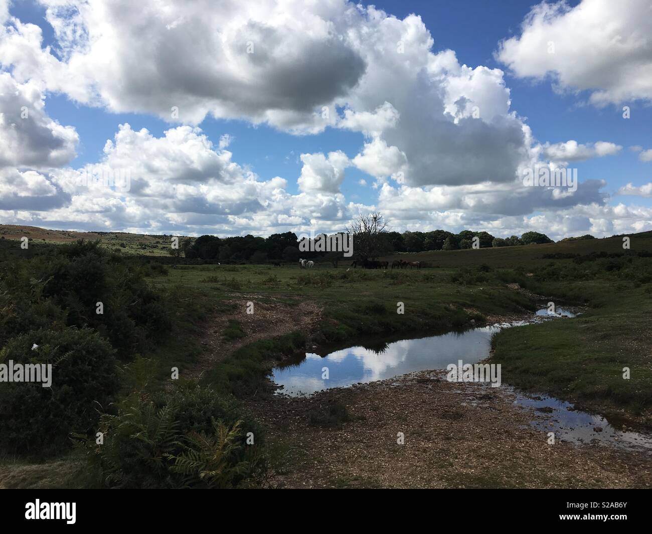 Peaceful walk hi-res stock photography and images - Alamy