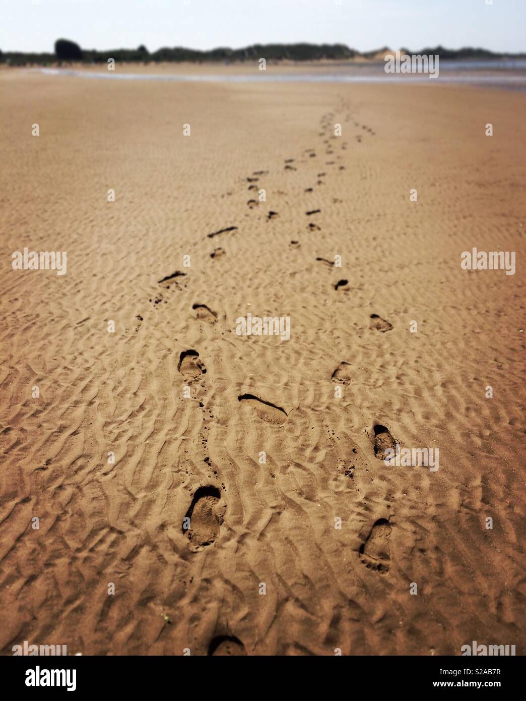 Summers walk along a local beach Stock Photo - Alamy