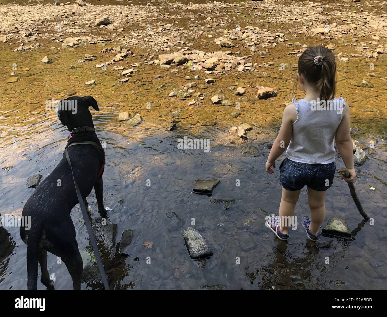 Lets explore hi-res stock photography and images - Alamy