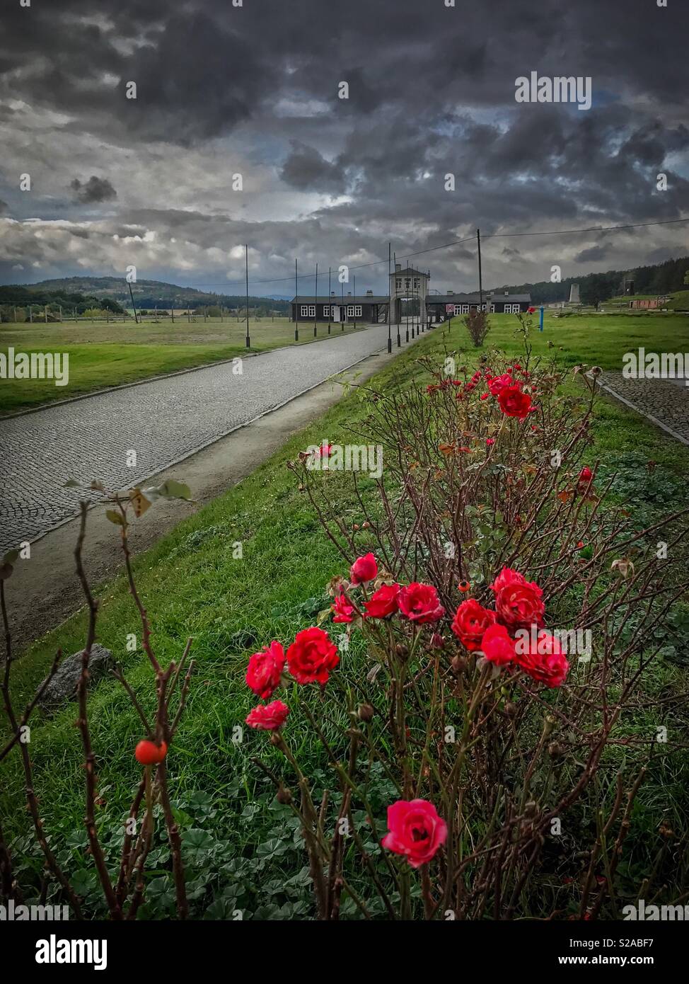 Camp german death gross rosen hi-res stock photography and images - Alamy