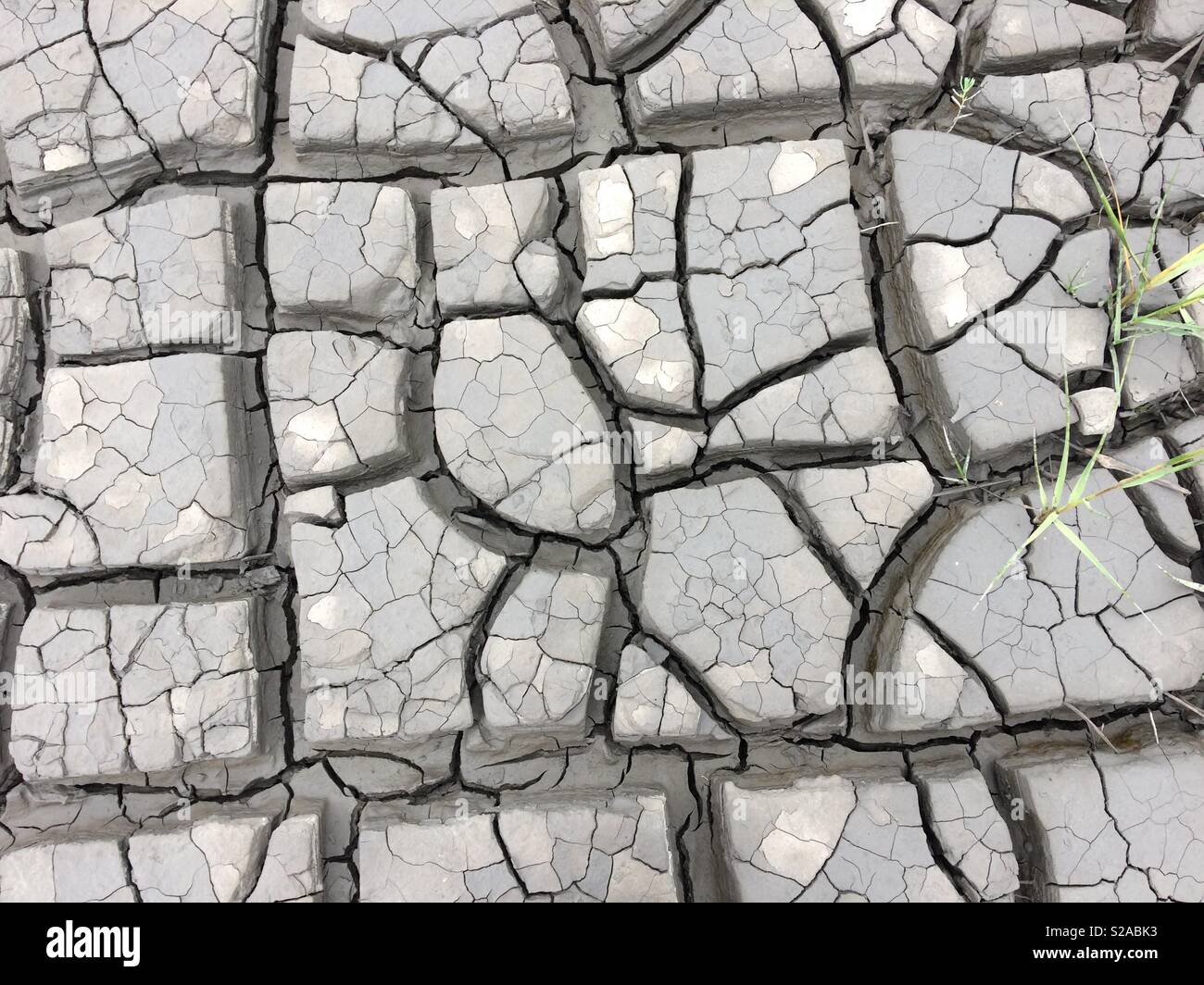 Cracked mud patterns Stock Photo - Alamy