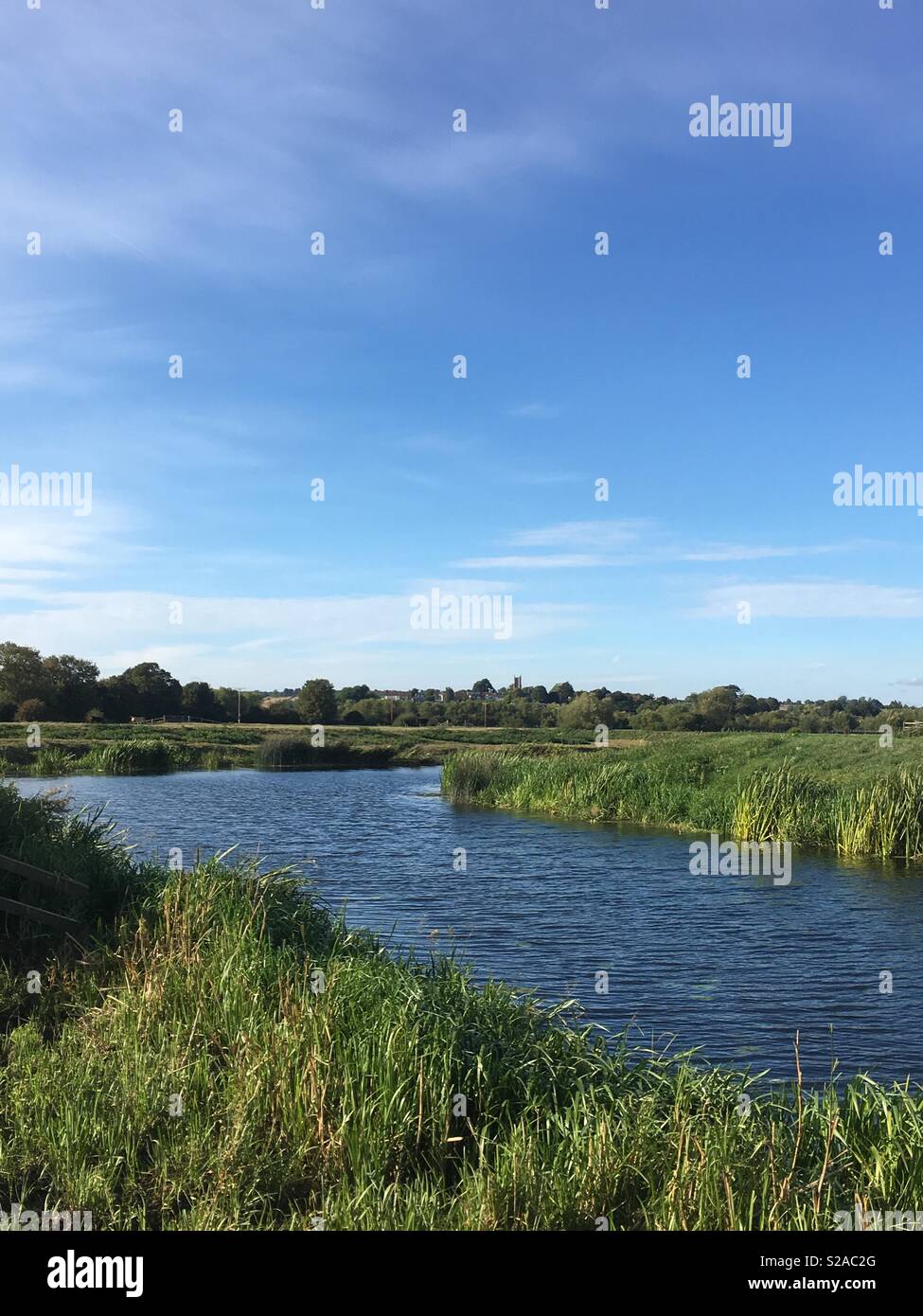 Parratt parratt hi-res stock photography and images - Alamy