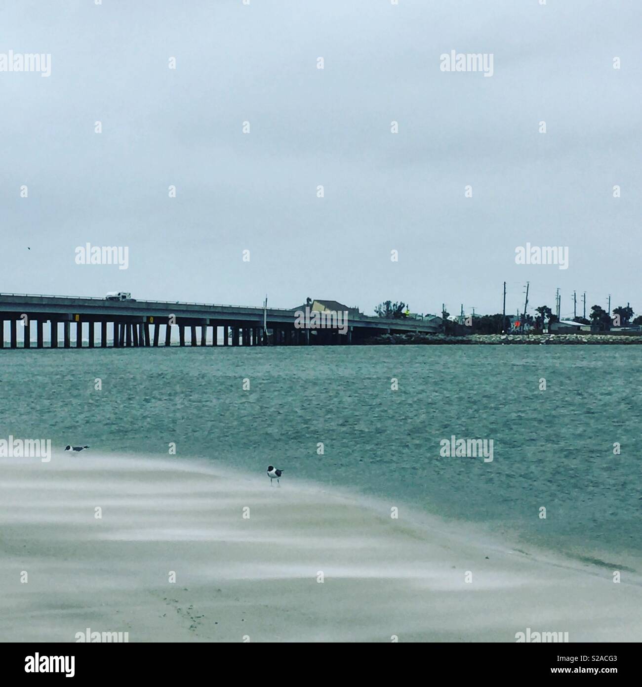 Rainy florida hi-res stock photography and images - Alamy