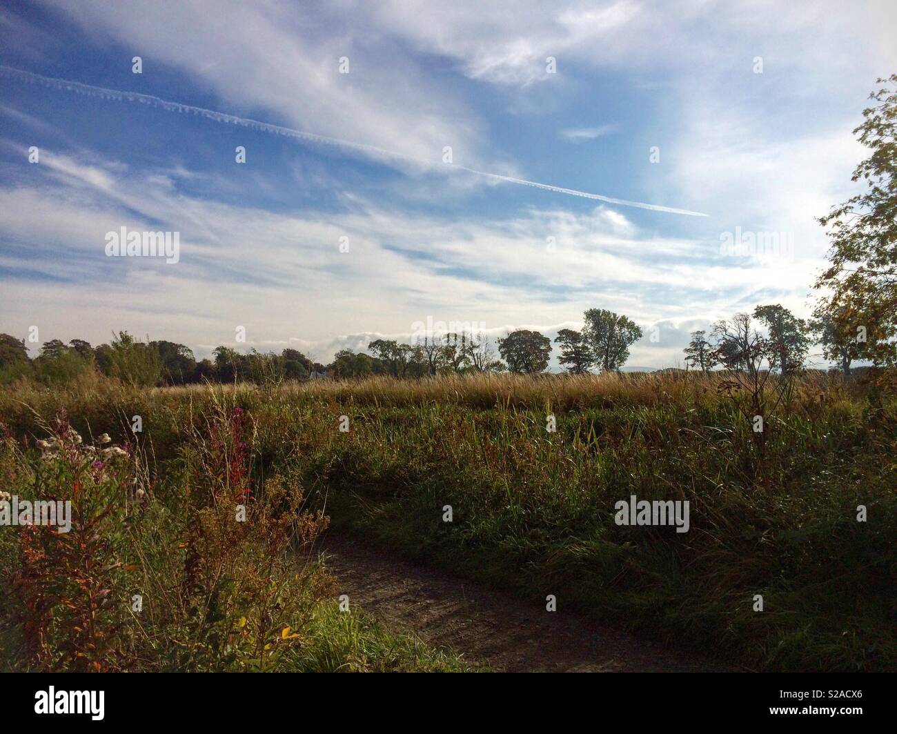 Canal tow path hi-res stock photography and images - Alamy