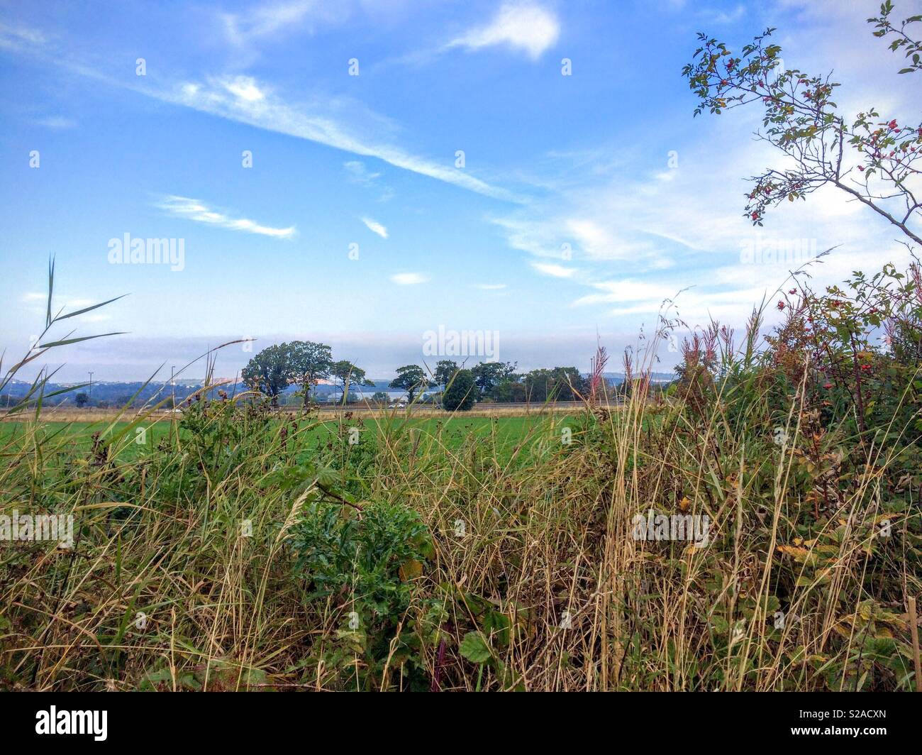 Scotland fields hi-res stock photography and images - Alamy