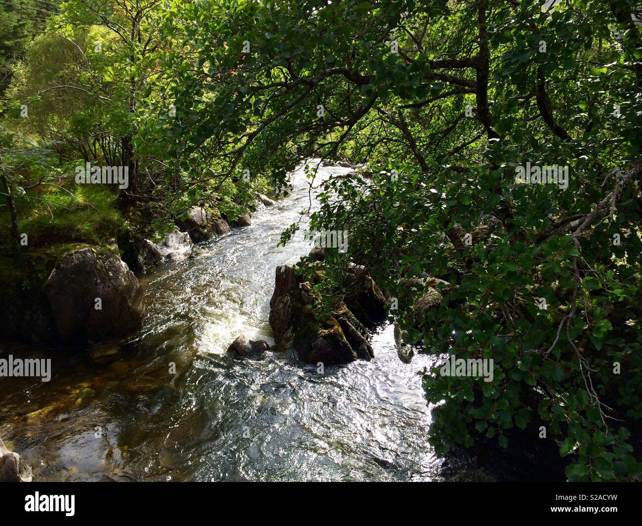 River viewed from above Stock Photo - Alamy