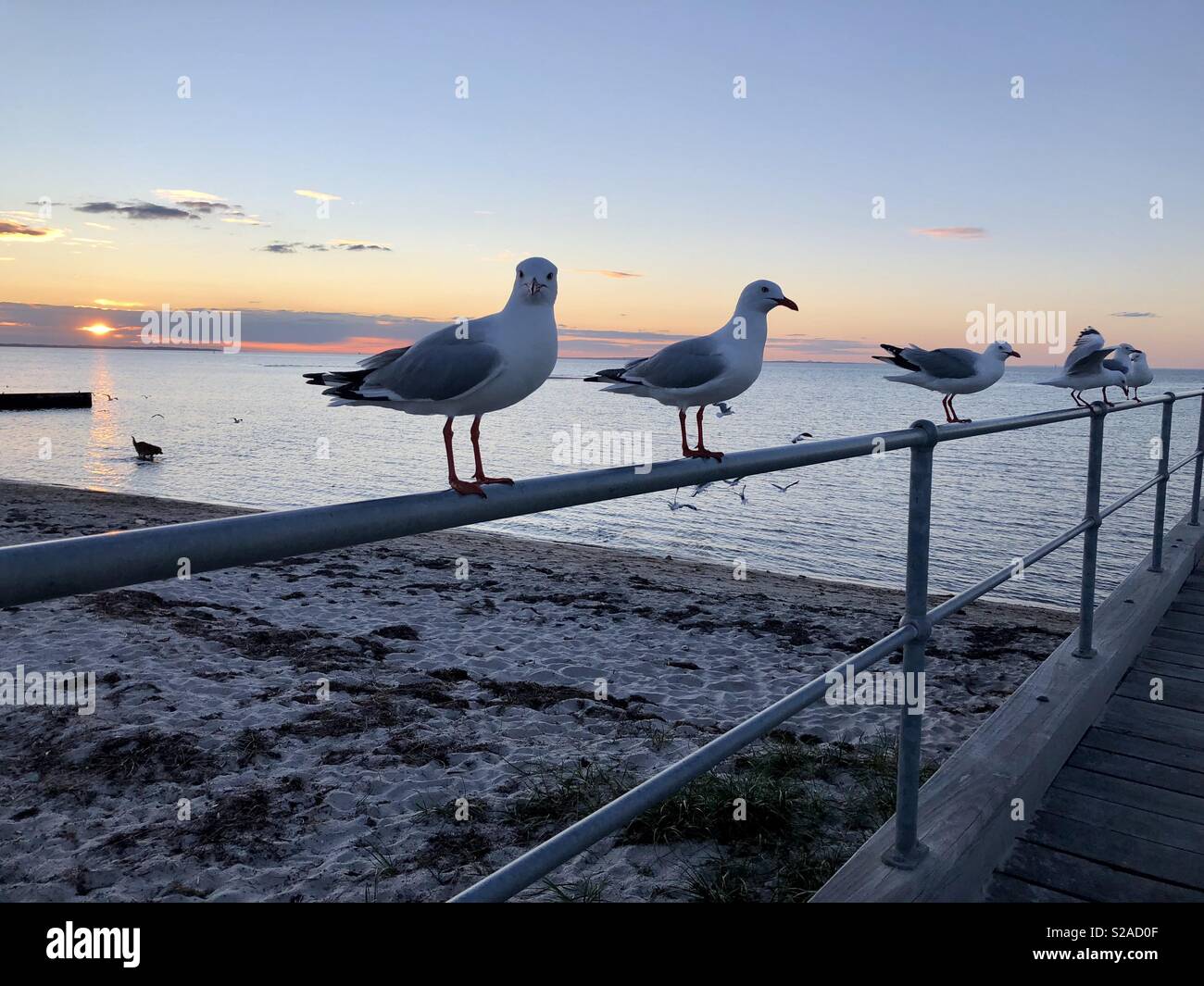 Very orderly queue hi-res stock photography and images - Alamy