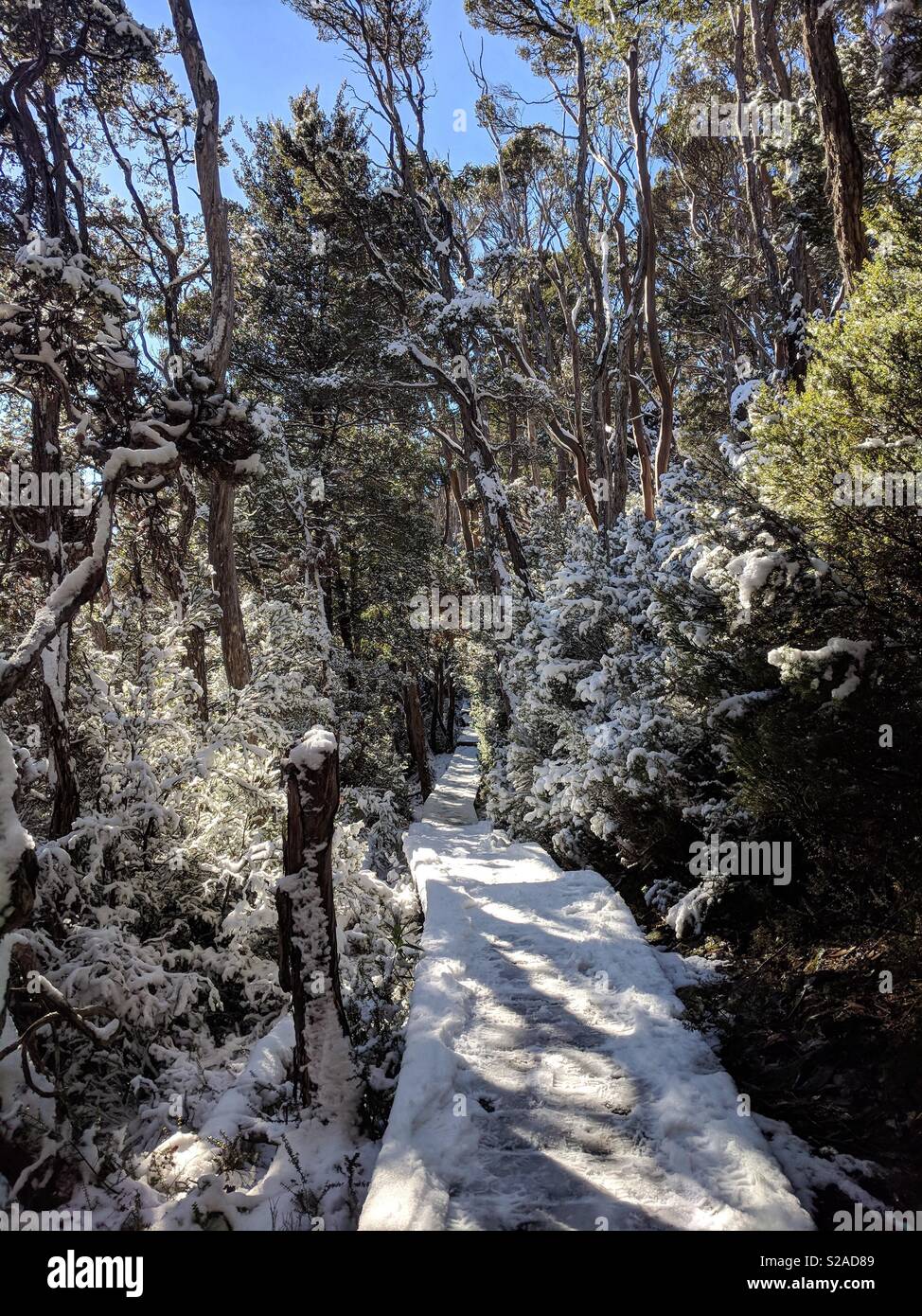 Snowy pathway hi-res stock photography and images - Alamy