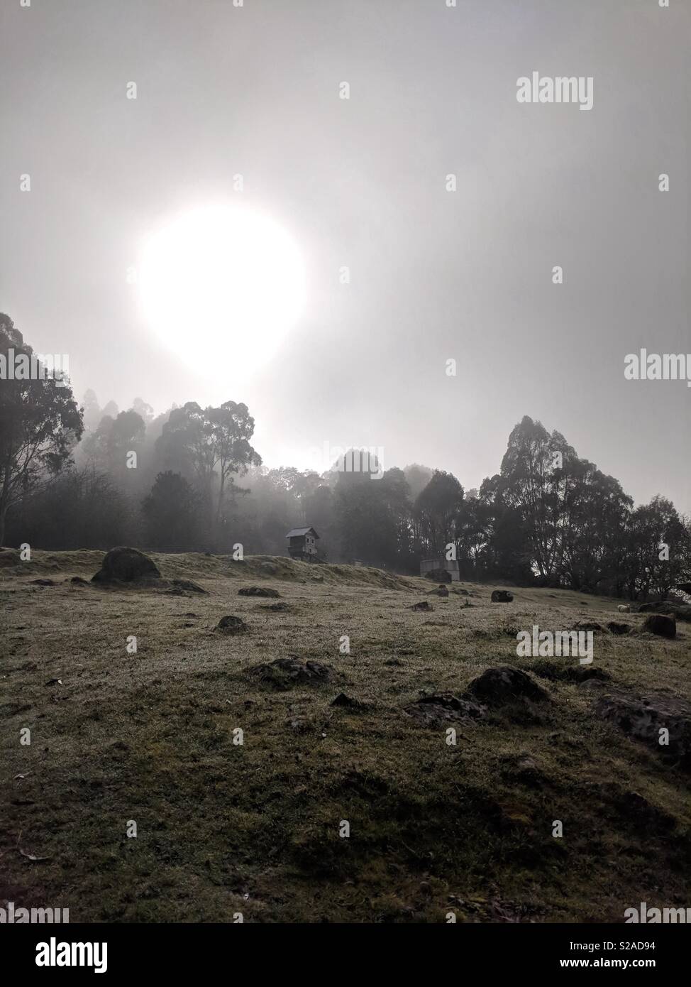 Dull and misty hi-res stock photography and images - Alamy