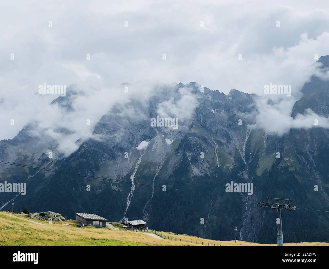 Ahorn hi-res stock photography and images - Alamy
