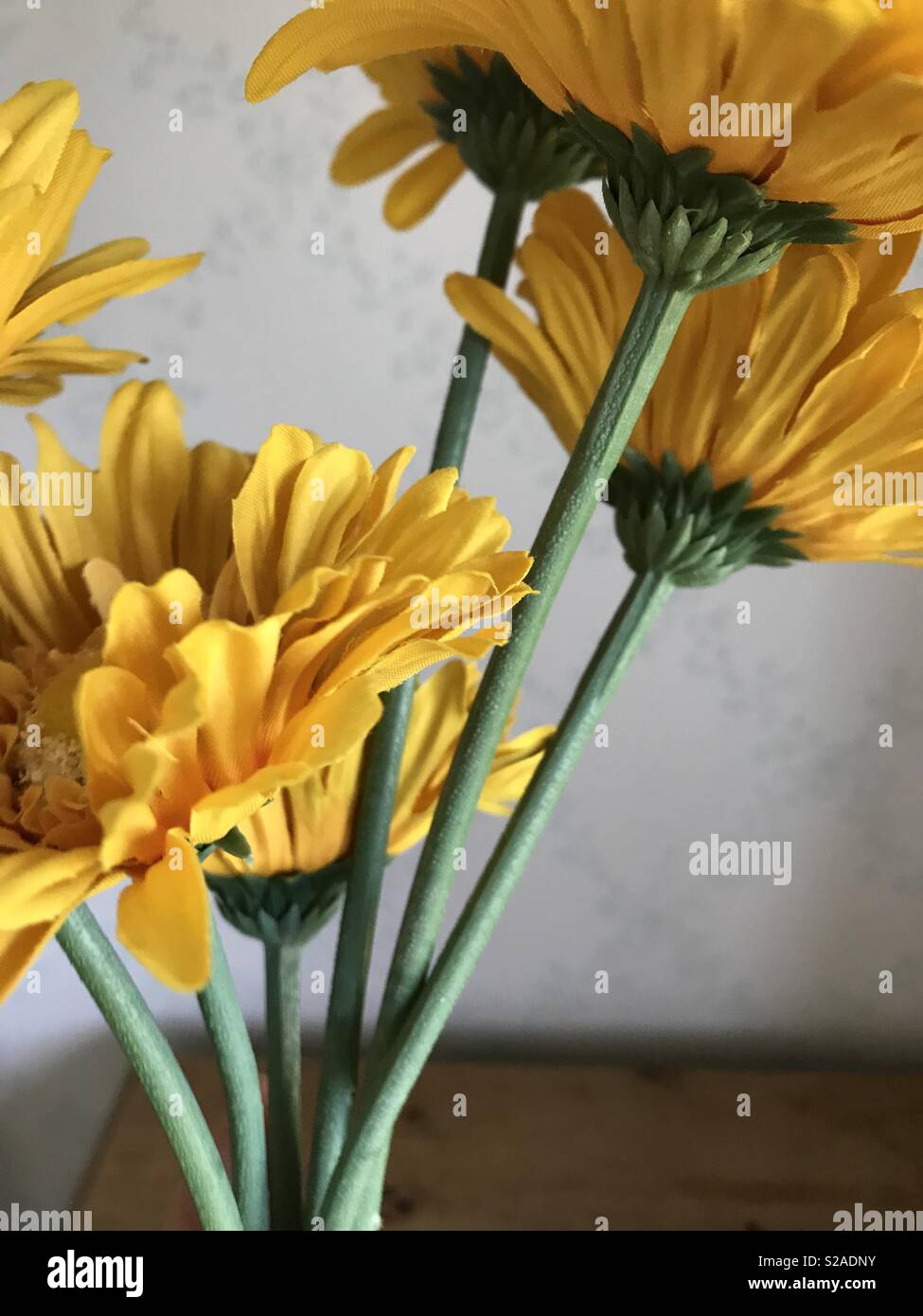Yellow gerbera stems Stock Photo - Alamy