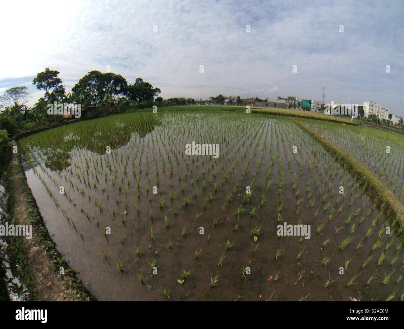 Jawa barat hi-res stock photography and images - Alamy