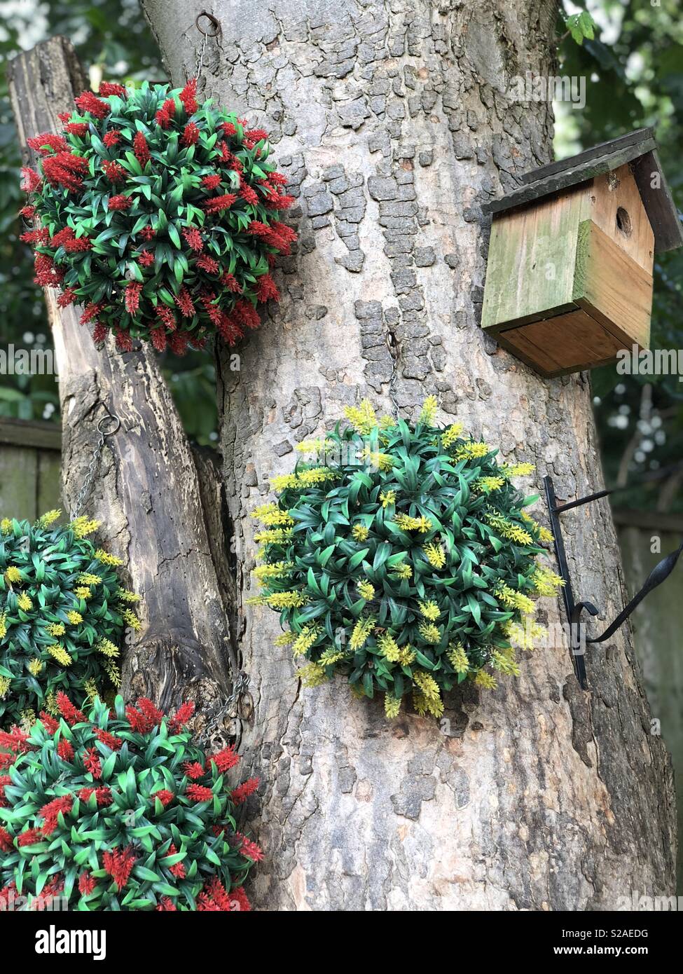 Garden tree with birdhouse Stock Photo - Alamy