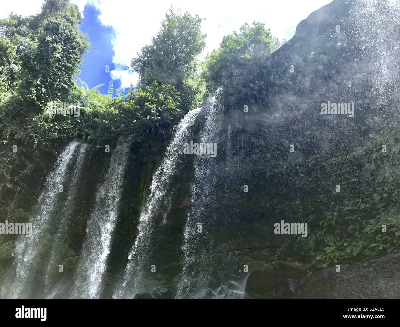 Drizzling hi-res stock photography and images - Alamy