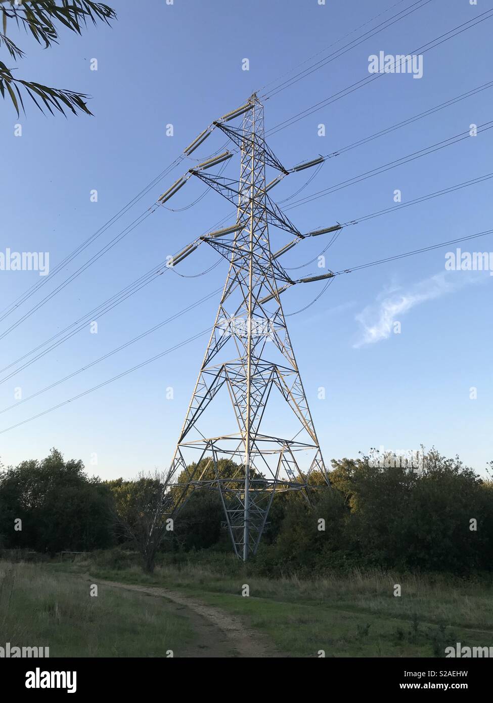 Park with wires hi-res stock photography and images - Alamy