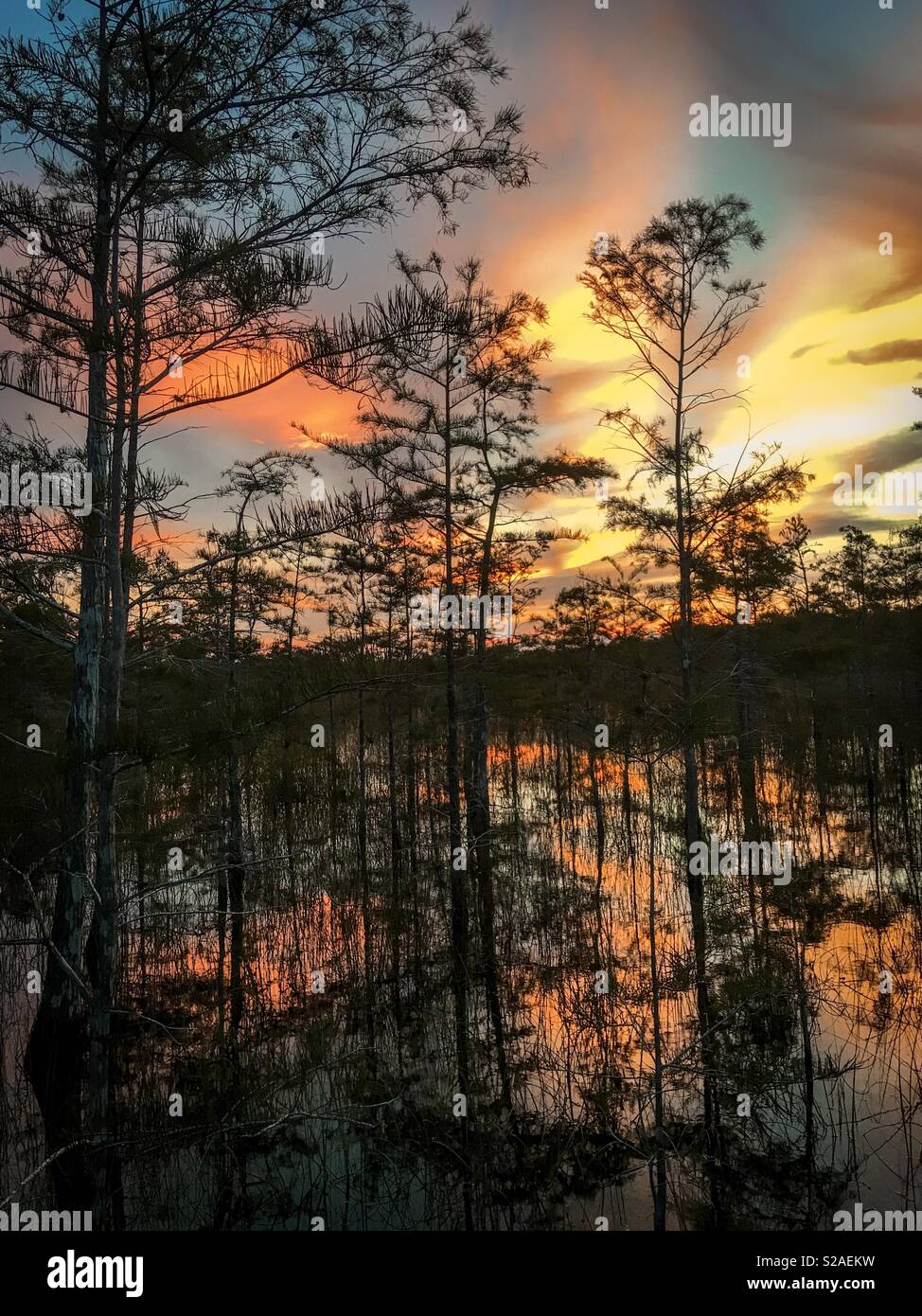 Sunset at the everglades hi-res stock photography and images - Alamy