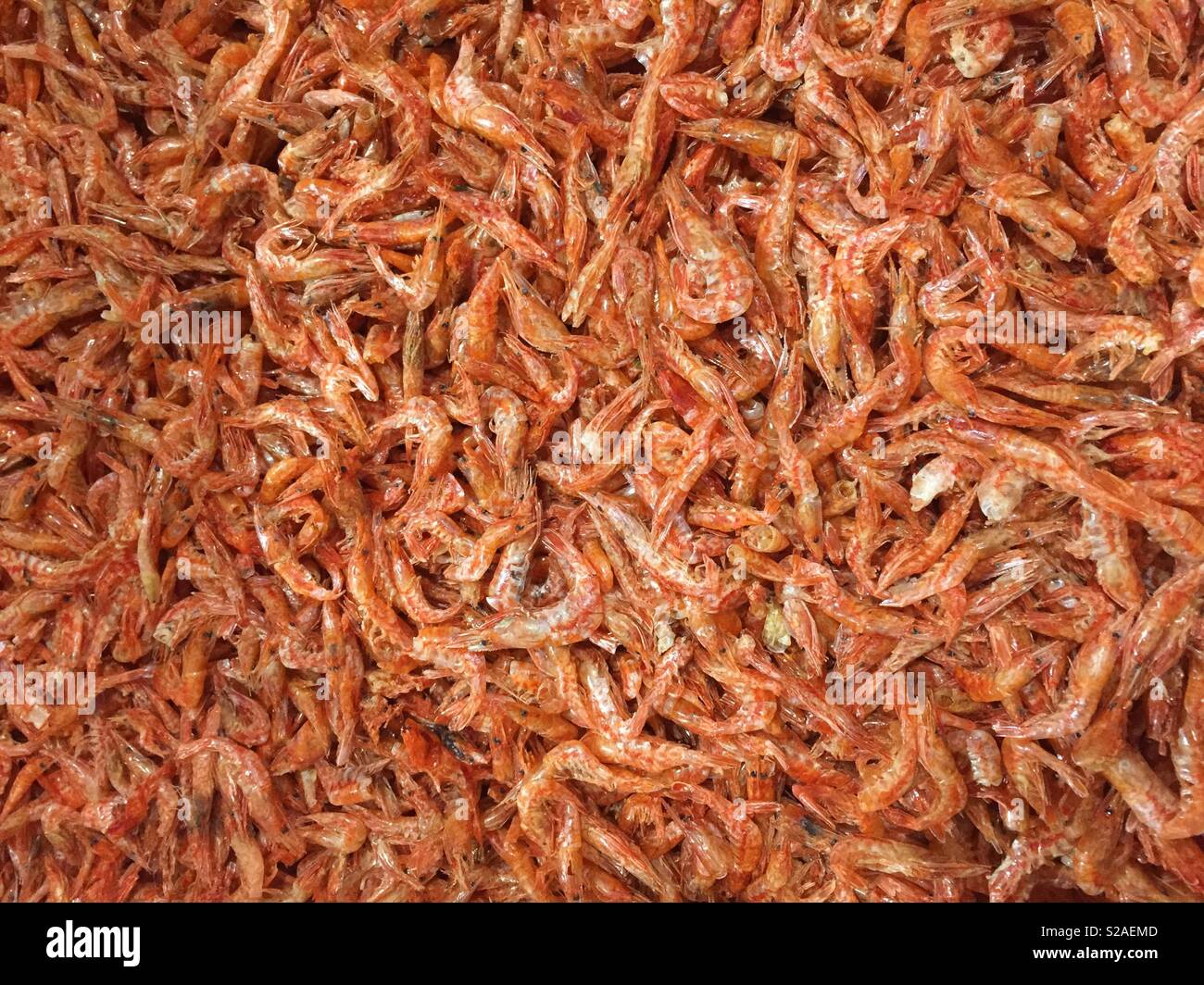 Dried shrimp hi-res stock photography and images - Alamy