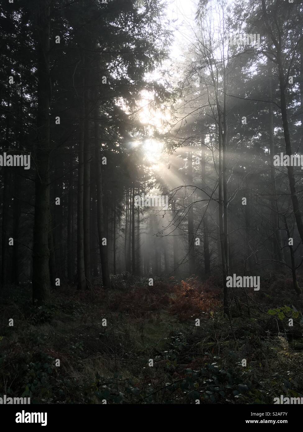 Mornings hi-res stock photography and images - Alamy