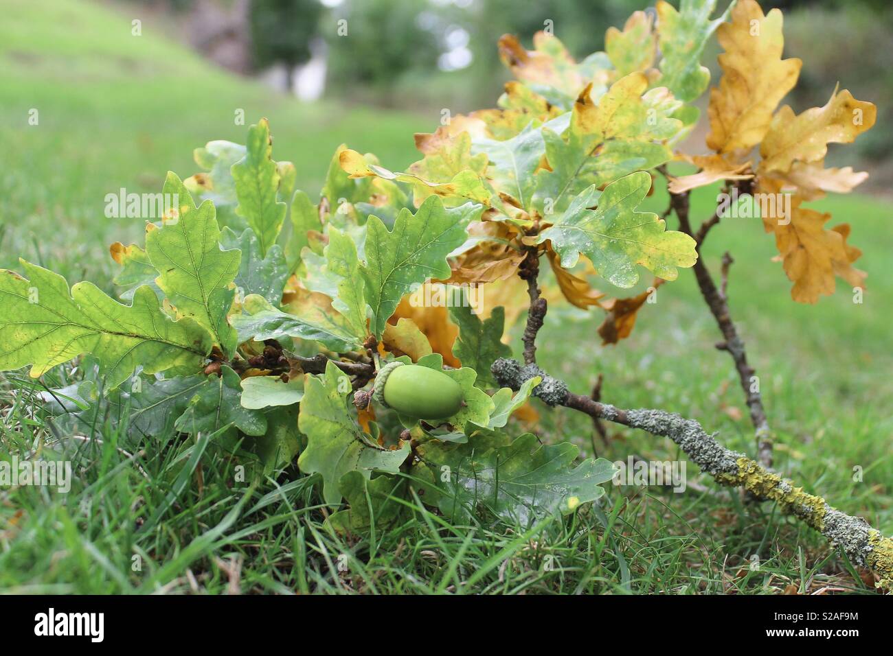 Signs of autumn hi-res stock photography and images - Alamy