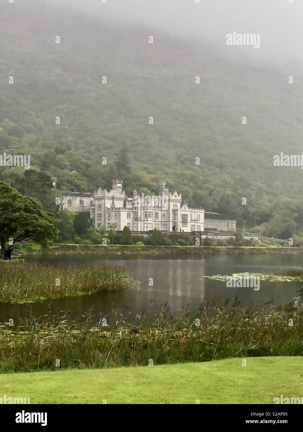 Mystic Mist at the Old Abbey, Ireland Stock Photo - Alamy
