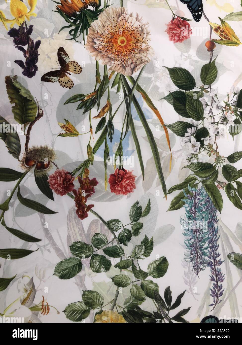 Things around hi-res stock photography and images - Alamy