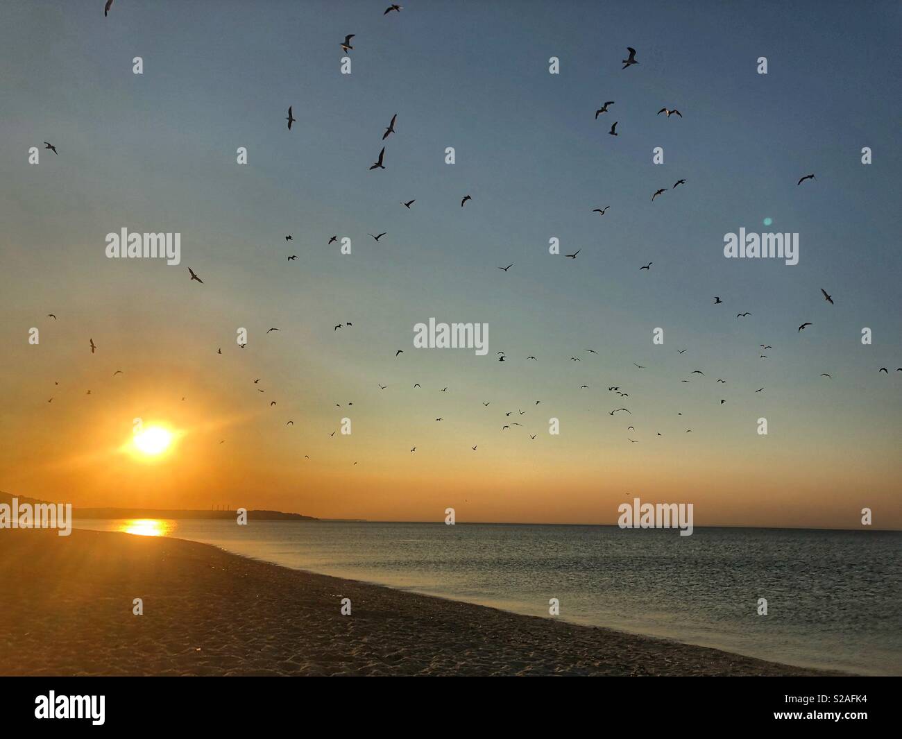 Birds flying away hi-res stock photography and images - Alamy