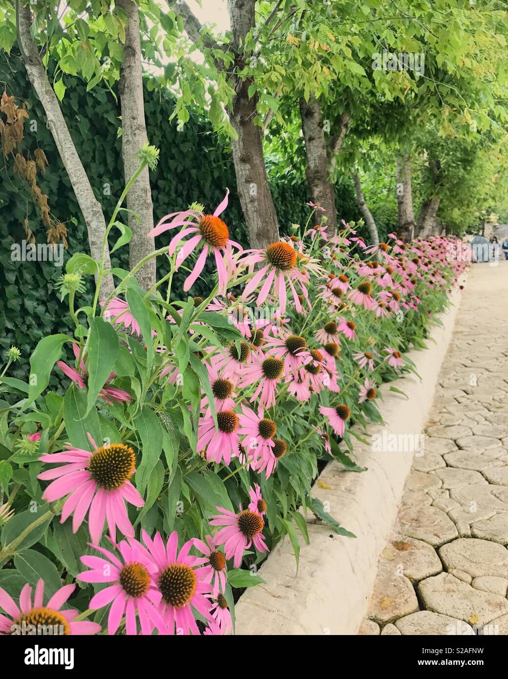 Stroll in the garden hi-res stock photography and images - Alamy