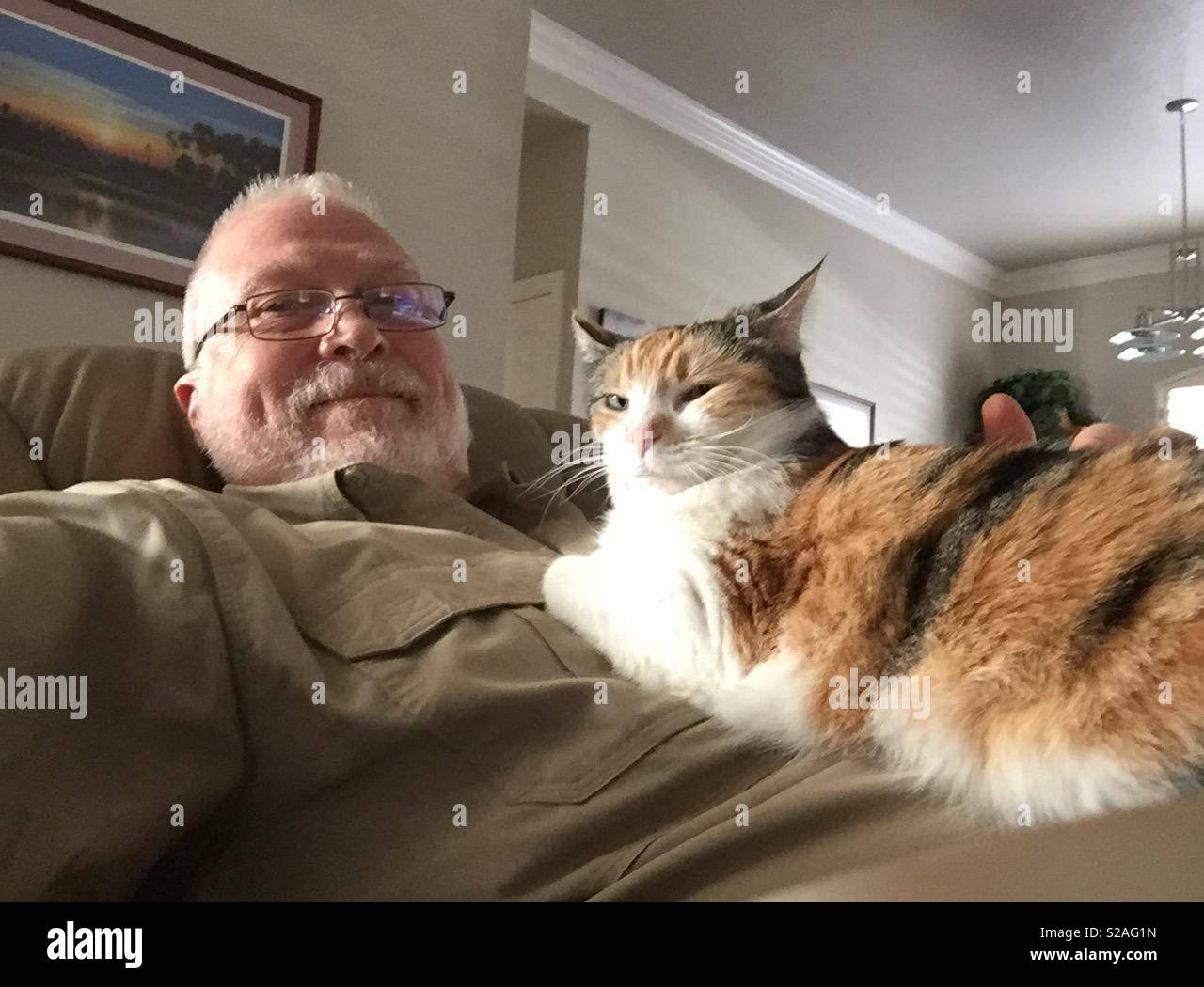 Man cat hi-res stock photography and images - Alamy