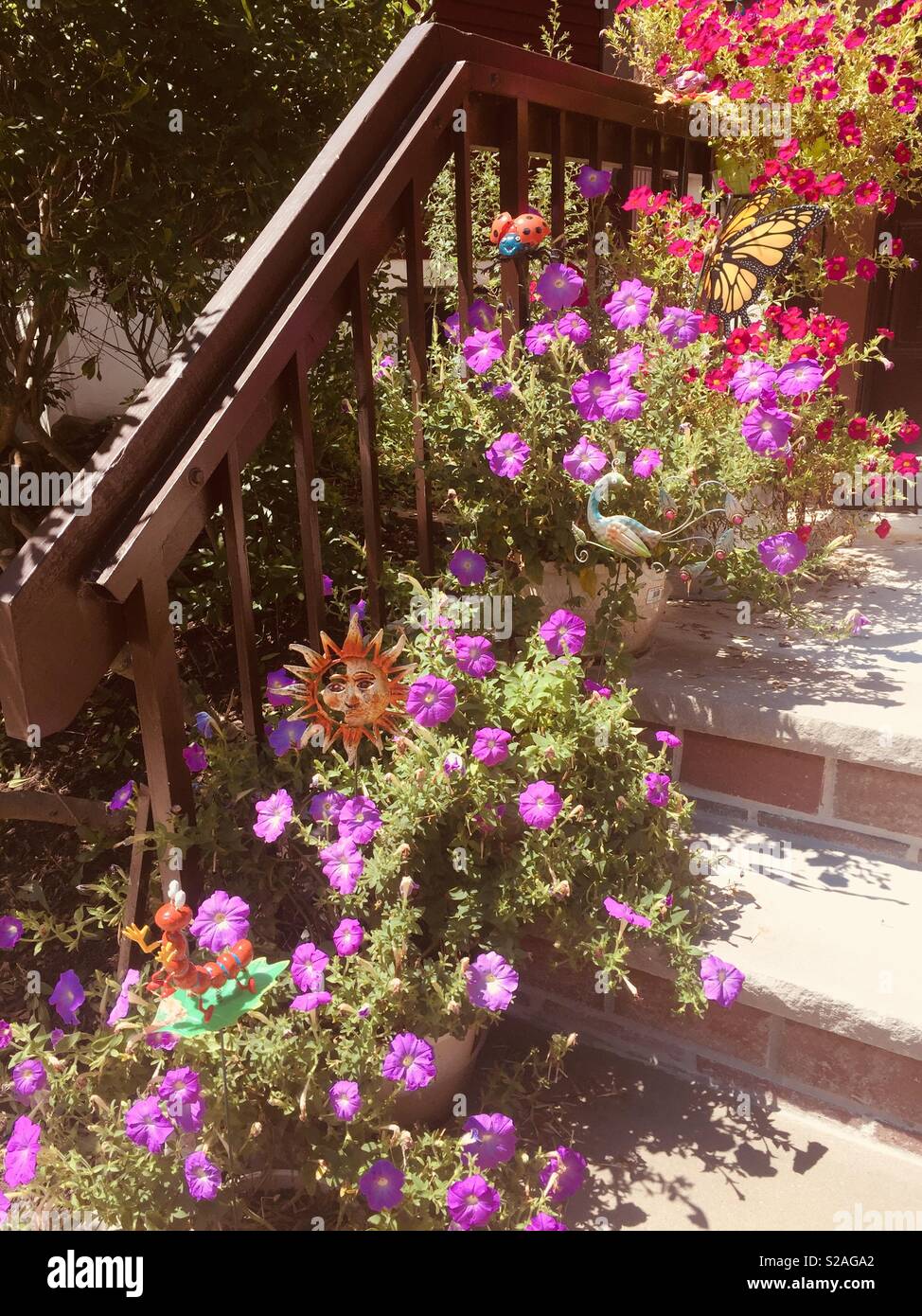 Summer colors hi-res stock photography and images - Alamy