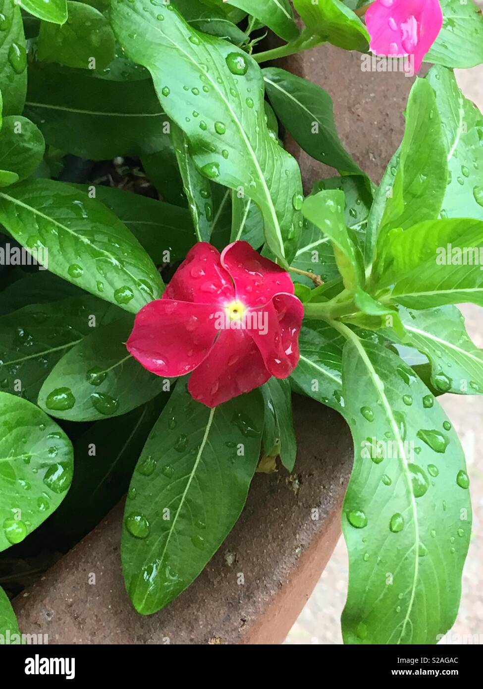 Moment red hi-res stock photography and images - Alamy