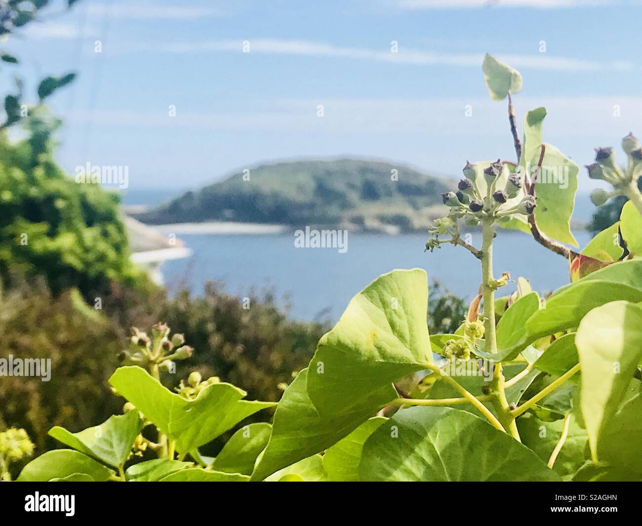 Looe island hi-res stock photography and images - Alamy