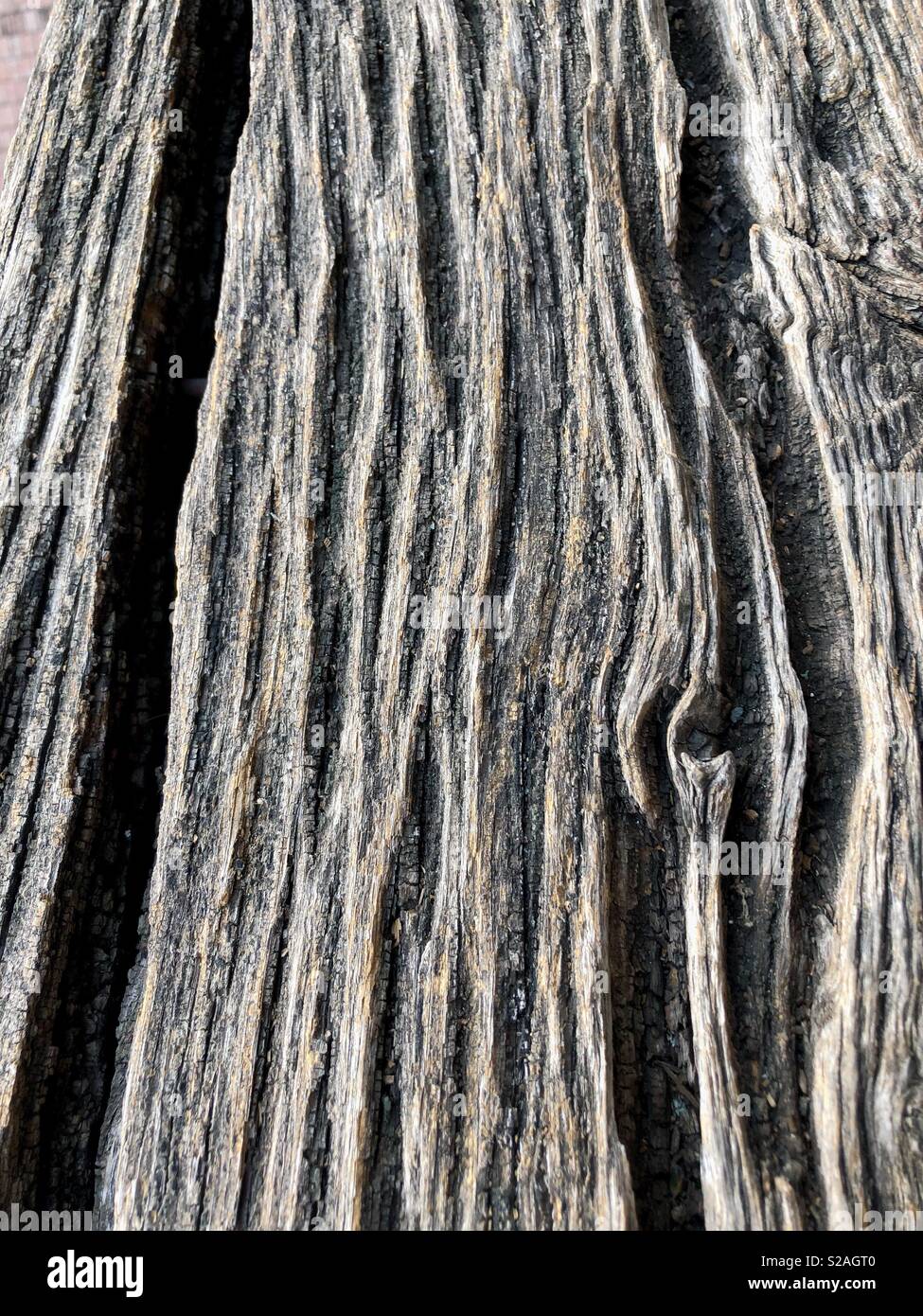 See wood structure hi-res stock photography and images - Alamy